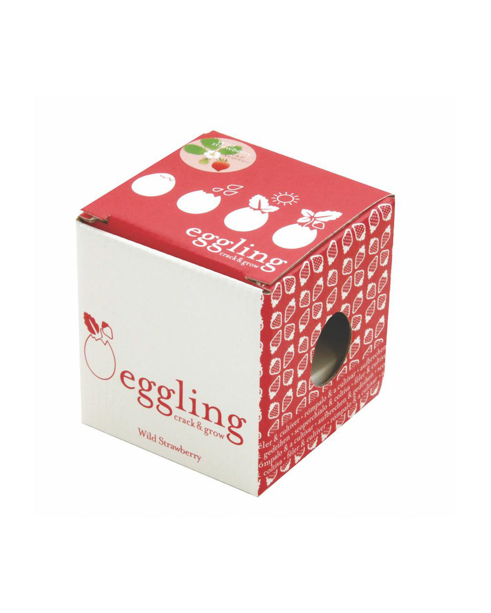 Noted Co. – nomadstore